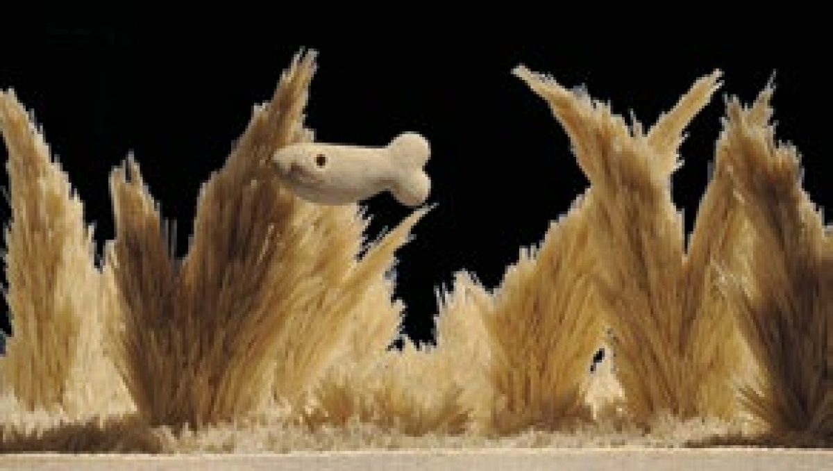 Noodle Fish - London Korean Film Festival